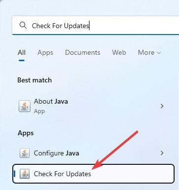 So überprüfen Sie die Java-Version in Windows 10 & 11 - All Things IT