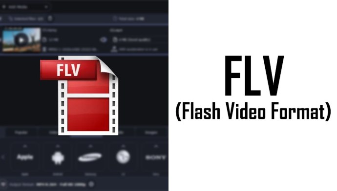 Los formatos de video más comunes: una guía - All Things Windows