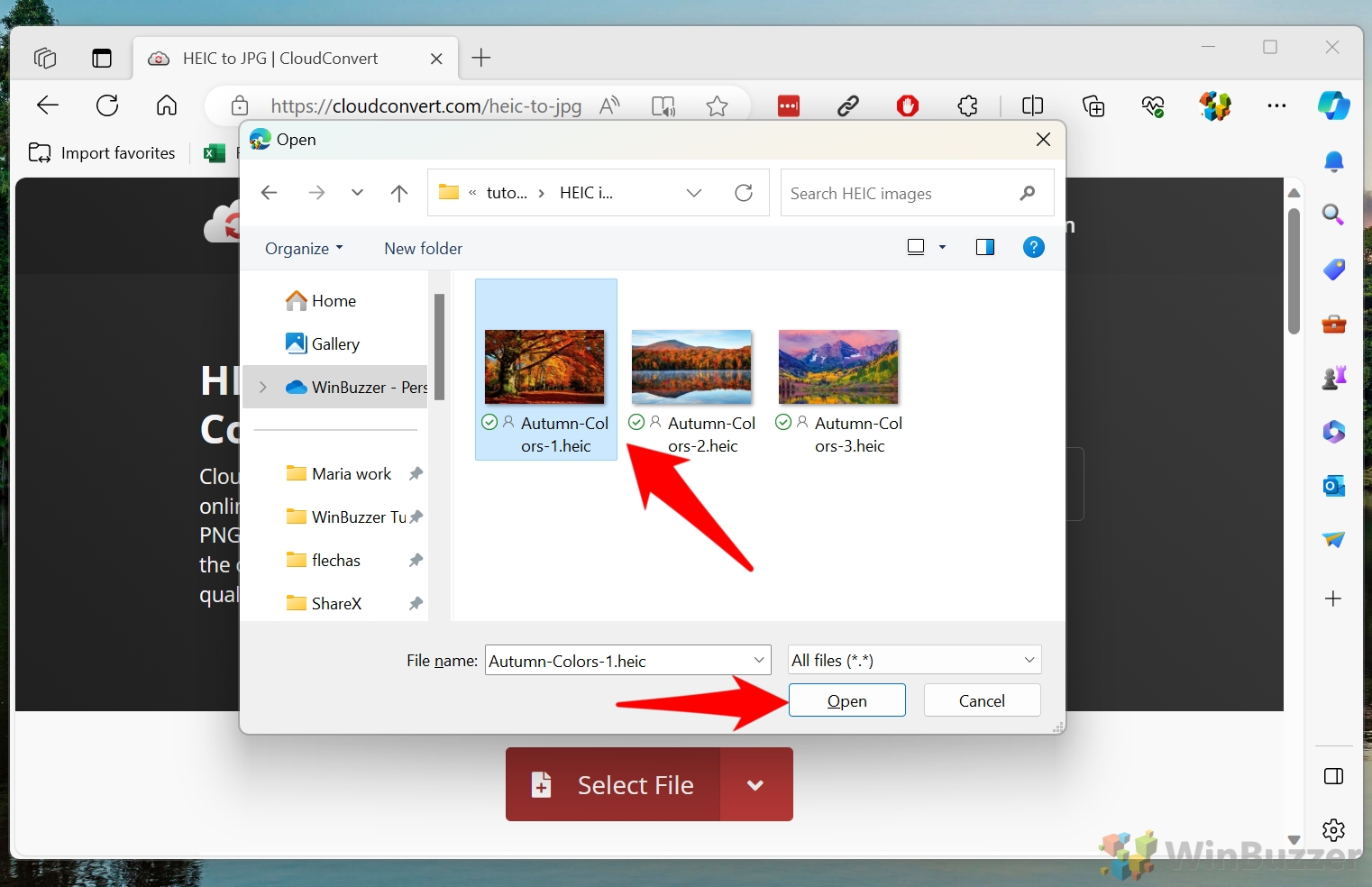 Cómo abrir archivos HEIC/convertir HEIC a JPEG, PNG, PSD, GIF y otros formatos - All Things Windows