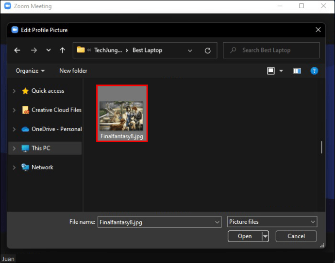 Comment afficher des images de profil au lieu d'une vidéo lors d'un ...