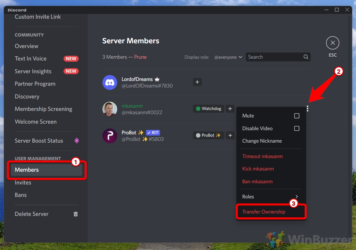 Cara Mentransfer Kepemilikan di Server Discord - All Things Windows