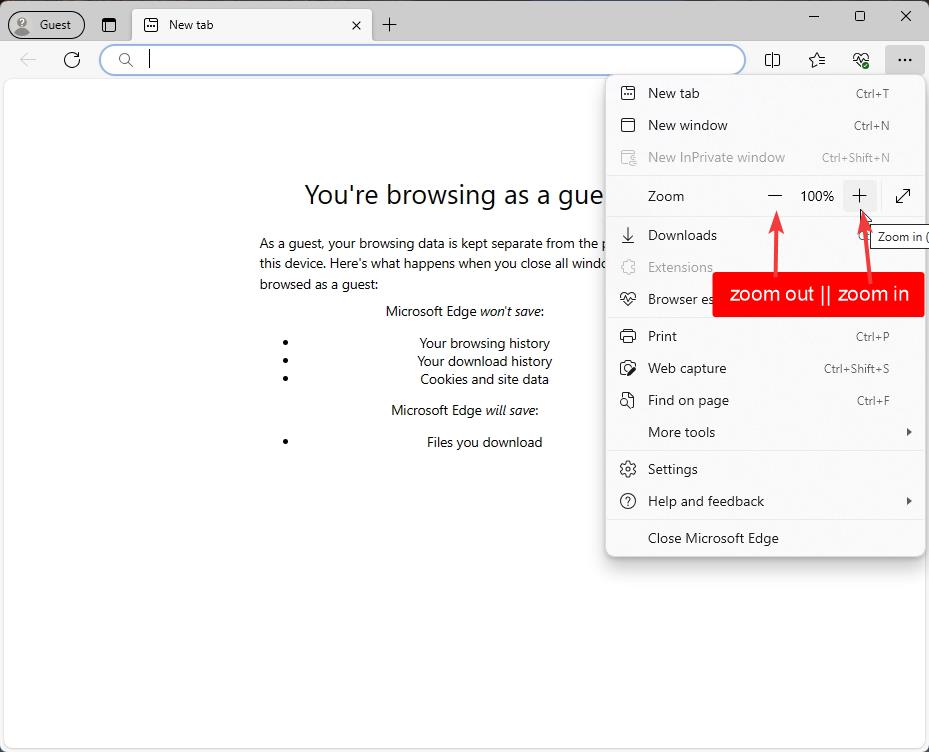 Cara Memperbesar dan Memperkecil di Browser Chrome & Edge - All Things ...