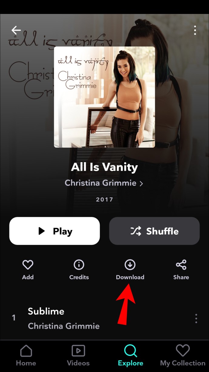 Tidal から曲をダウンロードする方法 - All Things Windows