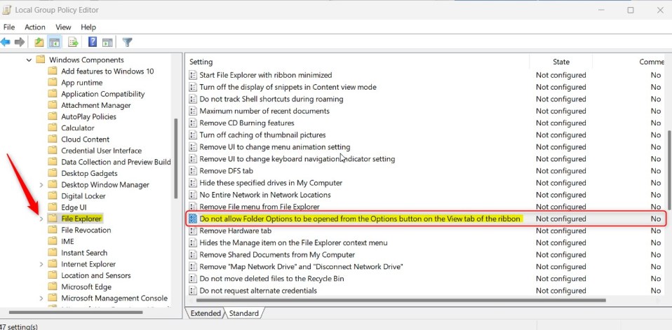 Cara Mendayakan atau Lumpuhkan Pilihan Folder Penjelajah Fail dalam Windows 11 - All Things Windows