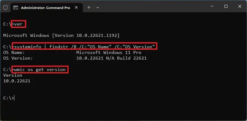 Versie controleren op Windows 11 - All Things Windows