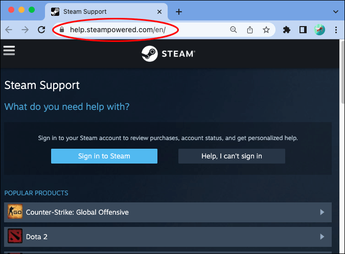 Hoe het wachtwoord in Steam te wijzigen - All Things Windows